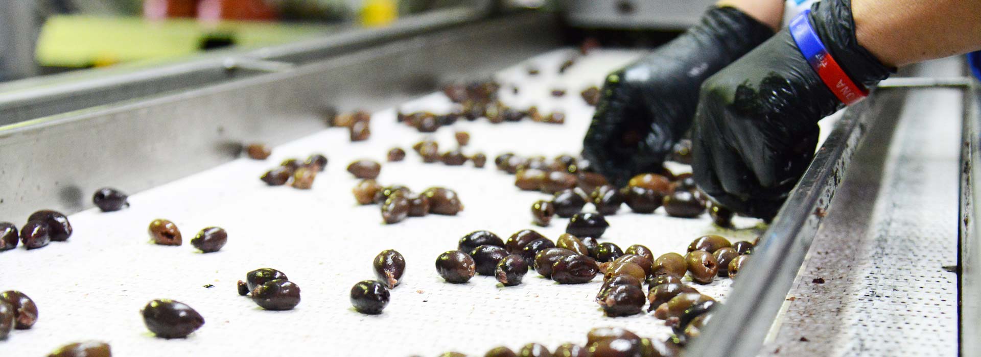 Who we are - Moschos Olives